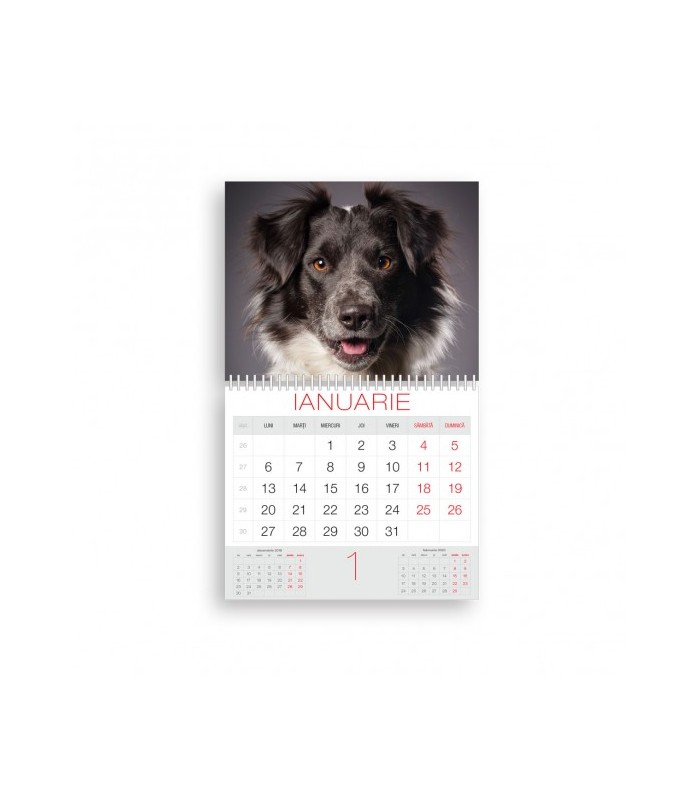 4 Seasons Calendar|Wall Calendar|Desk Calendar|Office|Calendars|MrGift