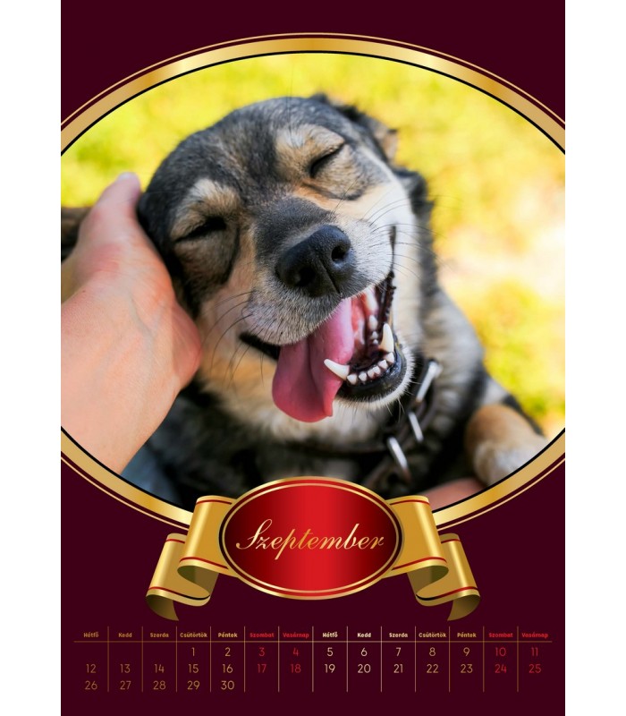 Calendar de Perete cu Poza Ta "Gold" A4 |Calendar cu poze| - mrgift.ro