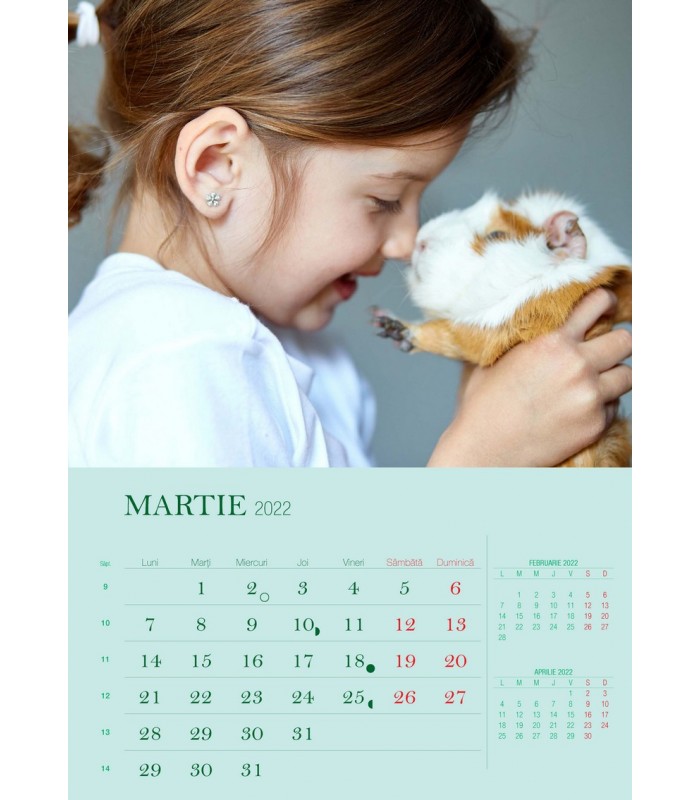 Calendar de Perete cu Poza Ta "Green" A3 |Calendar cu poze|- mrgift.ro
