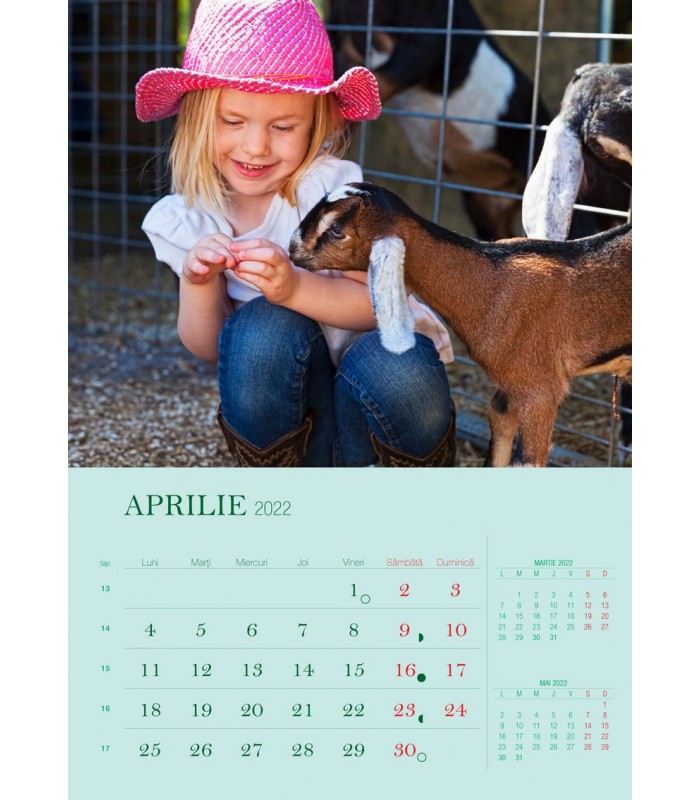 Calendar de Perete cu Poza Ta "Green" A3 |Calendar cu poze|- mrgift.ro