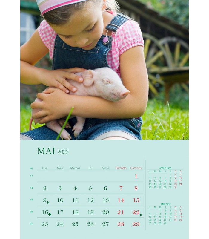 Calendar de Perete cu Poza Ta "Green" A3 |Calendar cu poze|- mrgift.ro