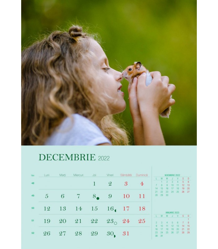 Calendar de Perete cu Poza Ta "Green" A3 |Calendar cu poze|- mrgift.ro
