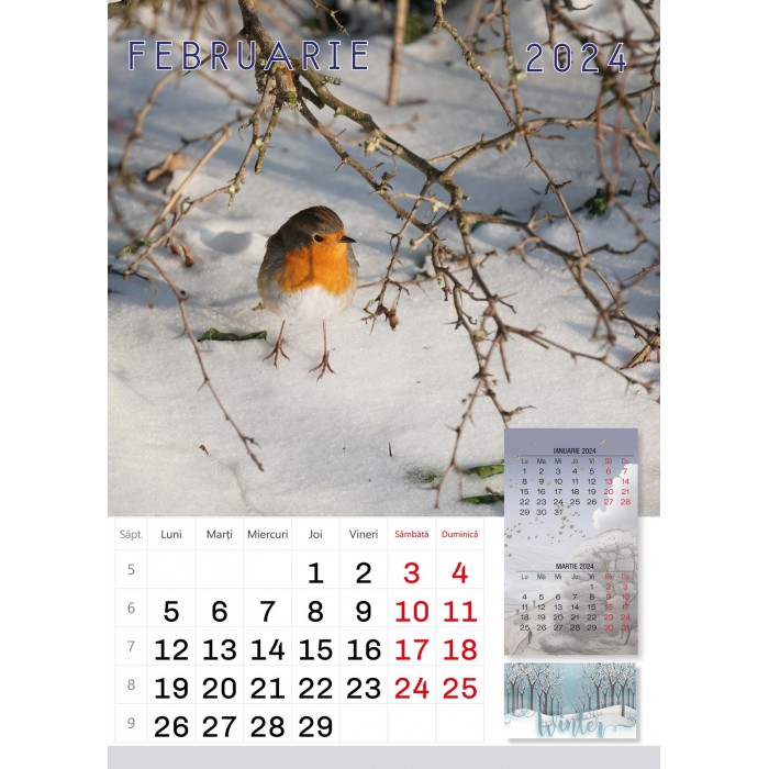 4 Seasons Calendar|Wall Calendar|Desk Calendar|Office|Calendars|MrGift
