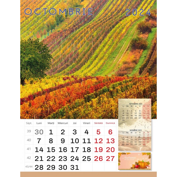 4 Seasons Calendar|Wall Calendar|Desk Calendar|Office|Calendars|MrGift