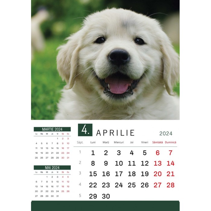 Dogs Calendar|Photo Calendar|A3 Wall Calendars|Desk Calendar|mrgift.ro