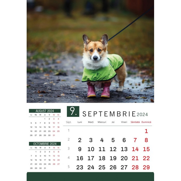 Dogs Calendar|Photo Calendar|A3 Wall Calendars|Desk Calendar|mrgift.ro